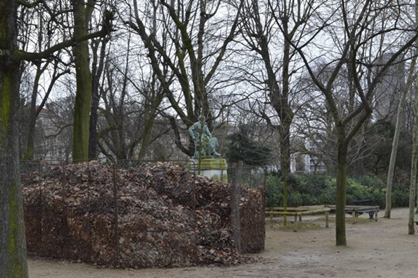Trees of Paris Parks - Gallery | Garden Design