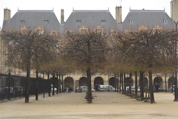 Trees of Paris Parks - Gallery | Garden Design