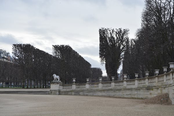 Trees of Paris Parks - Gallery | Garden Design