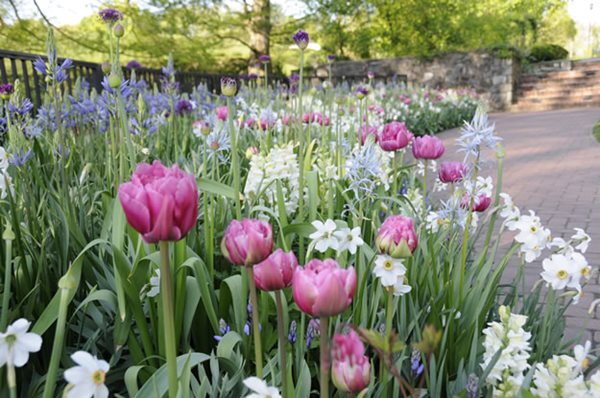 Visit: Spring Blooms at Longwood Gardens - Gallery | Garden Design