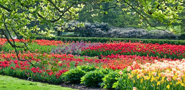 Visit: Spring Blooms at Longwood Gardens - Gallery | Garden Design