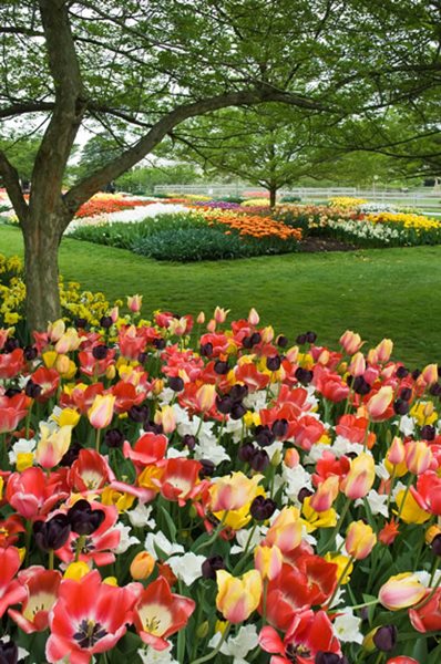 Visit: Spring Blooms at Longwood Gardens - Gallery | Garden Design