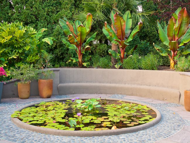 Water Feature Ideas to Transform Your Outdoor Space | Garden Design