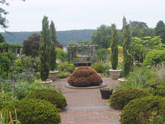 Structural Plants & How to Use Them in Your Garden | Garden Design