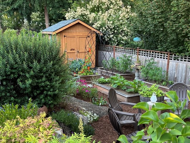 Suburban Gardens With Raised Beds Back Yard Small Backyard Garden In
