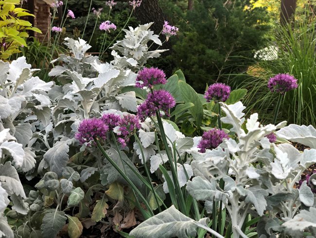 Bulb Garden Design: 7 Tips for a Gorgeous Display | Garden Design