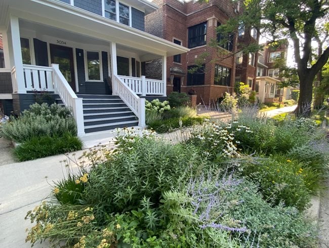 Sidewalk Garden: A Perennial Parkway Planting | Garden Design