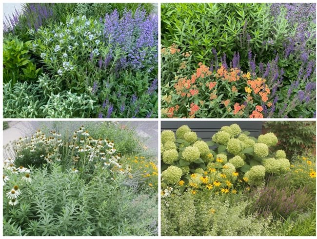 Sidewalk Garden: A Perennial Parkway Planting | Garden Design