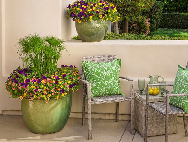 10 Tropical Garden Ideas for a Resort-Like Landscape | Garden Design