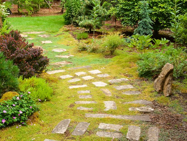 Garden Pathway Designs