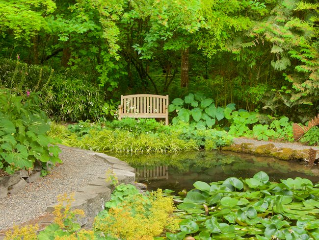 Water Feature Ideas to Transform Your Outdoor Space | Garden Design