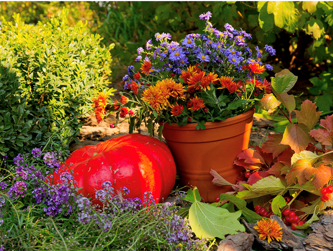 Fall Landscaping Ideas for Gardens Full of Color and Texture | Garden ...