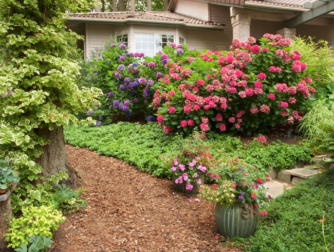 Shade Gardens: Ideas, Design & Inspiration | Garden Design