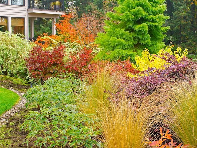Fall Landscaping Ideas for Gardens Full of Color and Texture | Garden ...