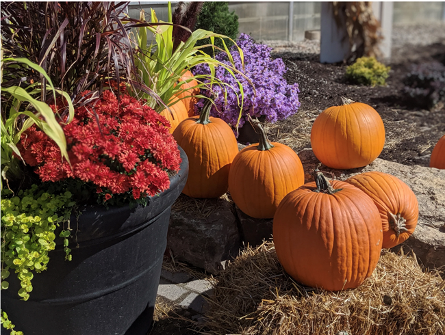 Fall Landscaping Ideas for Gardens Full of Color and Texture | Garden ...