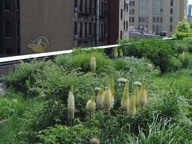 Foliage Garden: Designing With Foliage Over Flowers | Garden Design