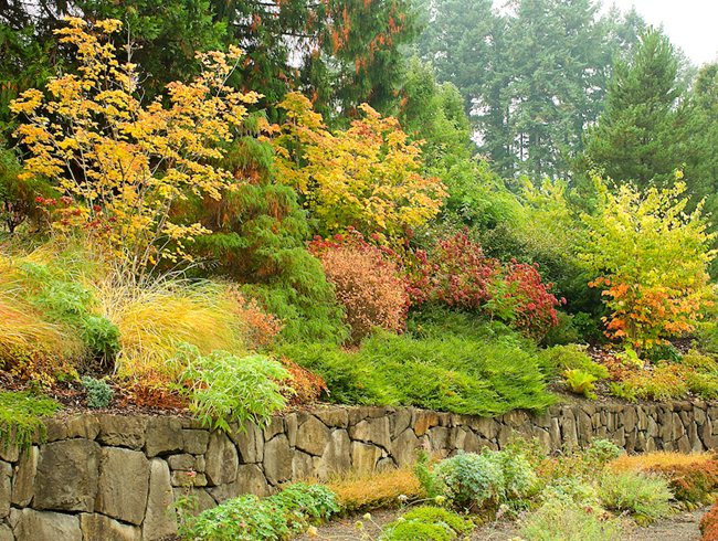Fall Landscaping Ideas for Gardens Full of Color and Texture | Garden ...