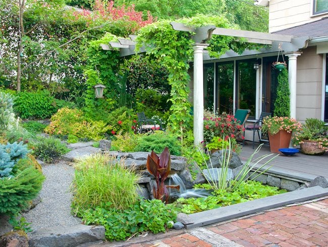 Water Feature Ideas to Transform Your Outdoor Space | Garden Design