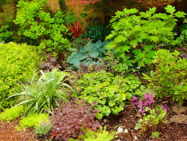 Shade Gardens: Ideas, Design & Inspiration | Garden Design