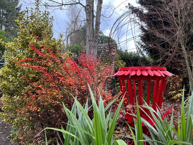 Winter Garden Ideas: Creating Winter Interest in the Garden | Garden Design