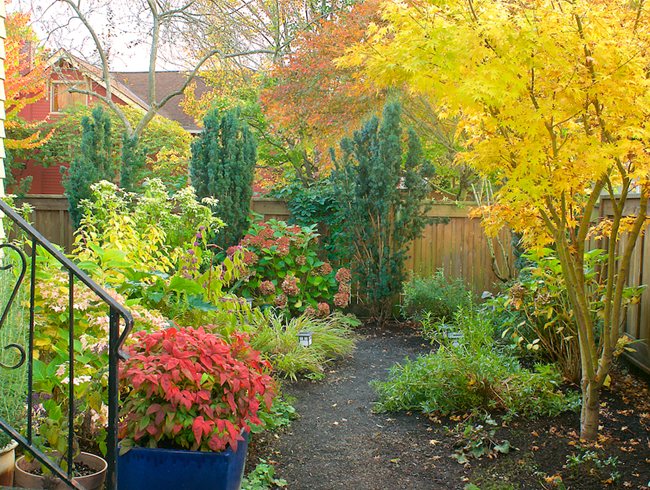 Fall Landscaping Ideas for Gardens Full of Color and Texture | Garden ...