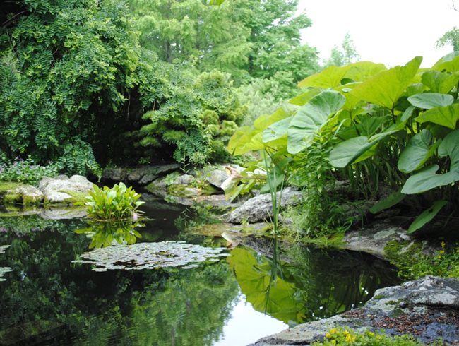 10 Essential Elements & Principles of Landscape Design | Garden Design