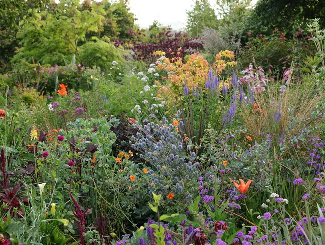 How to Design a Wellness Garden: A Healing Outdoor Sanctuary | Garden ...