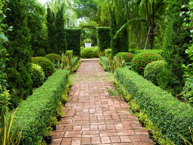 Garden Pathways: Tips and Ideas for Function & Beauty | Garden Design