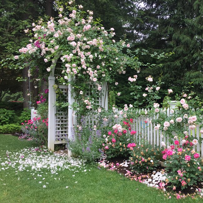Romantic Charm in a New York Garden | Garden Design