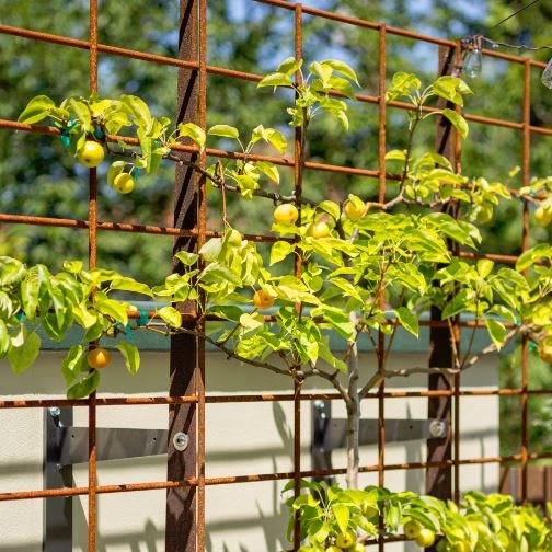 Urban Rooftop Garden in Portland | Garden Design