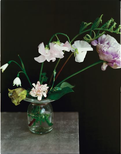 Flowers of Japan - Gallery | Garden Design