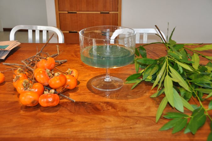 Holiday Centerpieces: Bay Leaves, Persimmons, and Camellias - Gallery ...