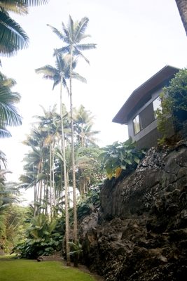 The Falls at Reed's Island, Big Island, Hawaii - Gallery | Garden Design