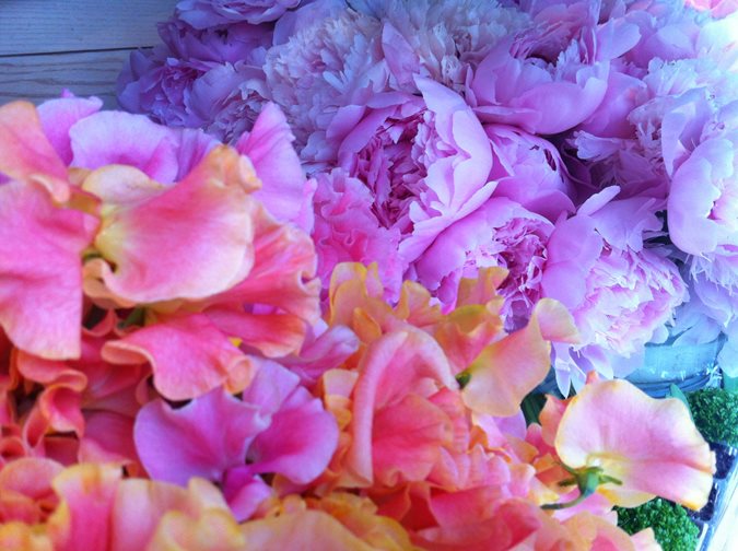 The Flowers of Paris - Gallery | Garden Design