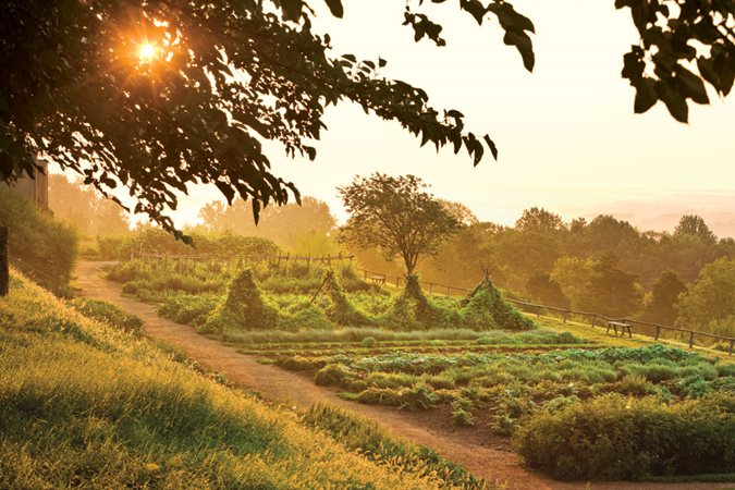 Thomas Jefferson's Monticello, Photo Gallery - Gallery | Garden Design