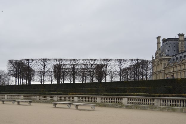 Trees of Paris Parks - Gallery | Garden Design