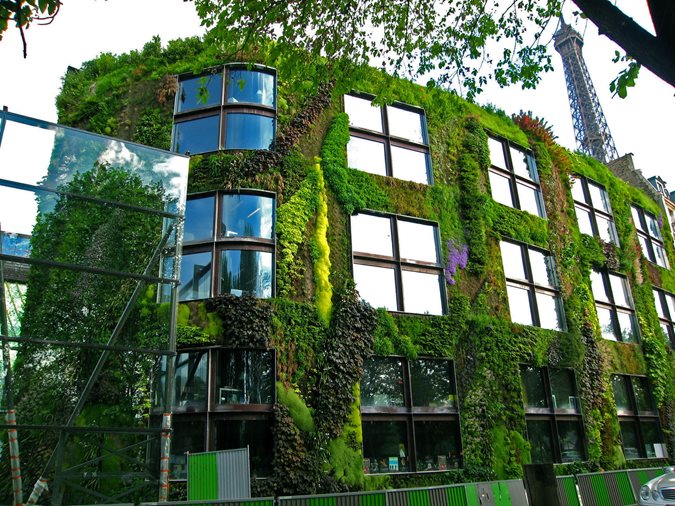 Vertical Gardens: Slide Show - Gallery | Garden Design