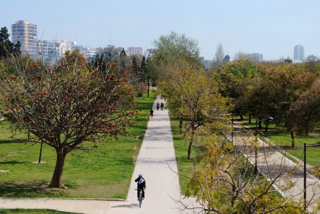 Visiting Valencia and Turia Gardens - Gallery | Garden Design