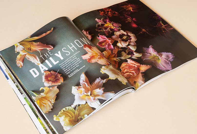 What’s in the magazine? | Garden Design