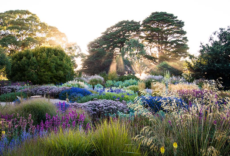 What’s in the magazine? | Garden Design