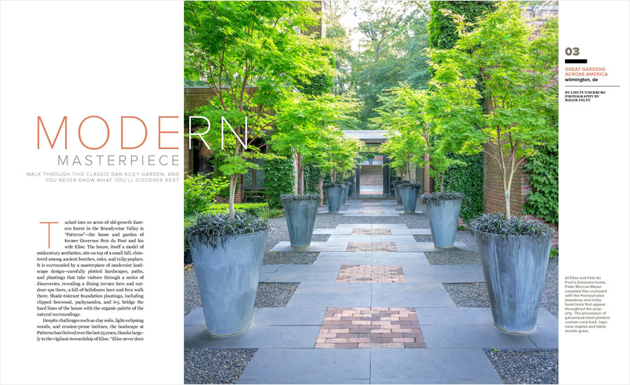 Modern Masterpiece | Garden Design