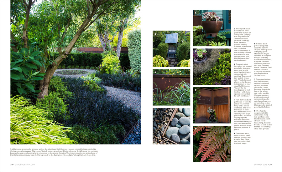 Endless Summer | Garden Design