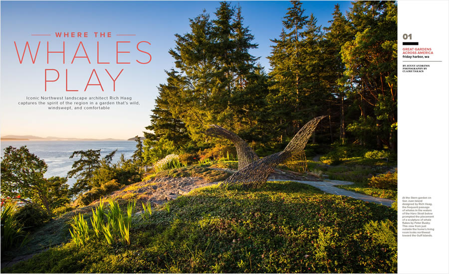 Where The Whales Play | Garden Design